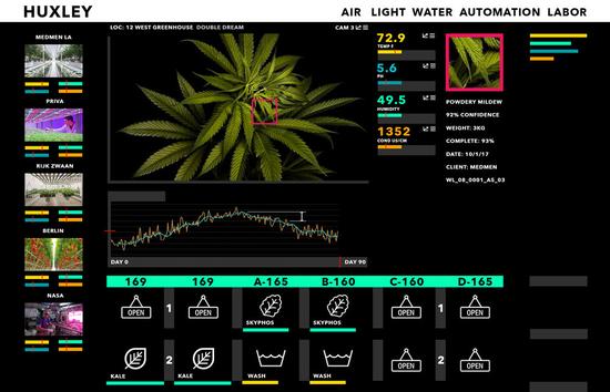 人工智能识别植物准确率高达80％ 植物学家轻松了通信世界网 